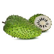 Soursop Seeds Planting