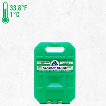 Arctic Ice 1203 Tundra Series Reusable Freezer Ice Pack Medium (1.5 lbs ...
