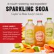Betty Buzz Premium Sparkling Soda Citrus Variety Pack by Blake Lively ...