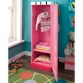Furniture of America Mars Contemporary Metal 2-Shelf Closet in Pink ...