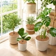2/4/6/8/10 Pack Natural Coconut Fiber Plant Pot Mulch Disc,7.87 Inch ...