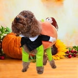 Funny Dog Clothes - Design a Unique and Hilarious Outfit for Your Pet ...