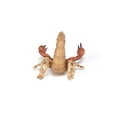Papo Scorpion Figure, Multicolor - Walmart.com