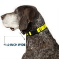 Buckle-Down Pet Collar, Dog Collar Plastic Buckle, Neon Yellow, 16 to ...