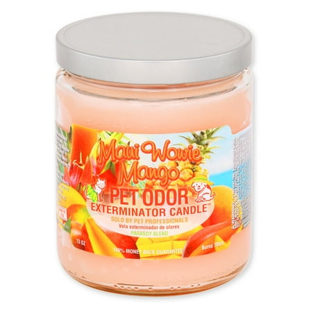 Pet Odor Exterminator Candle, Evergreen & Berries, 13 oz - Walmart.com