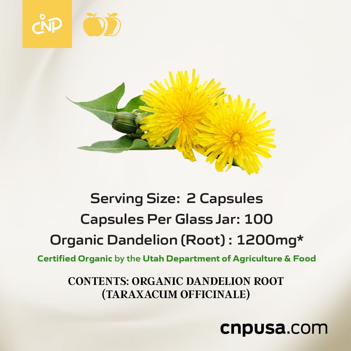 Buy Organic Dandelion Root Capsules - 600mg Capsules 100 Pills Pure ...