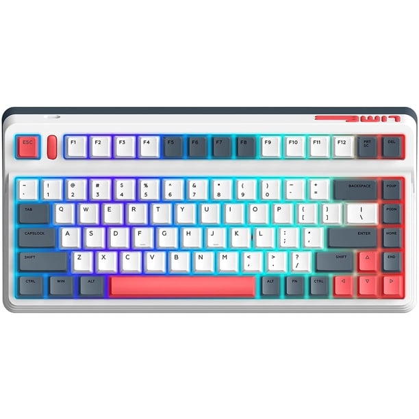 L80 Gaming Keyboard, 2.4G Wireless Mechanical Keyboard with Cherry MX ...