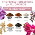 Orchid Soil - Premium Potting Mix for Phalaenopsis, Dendrobium ...