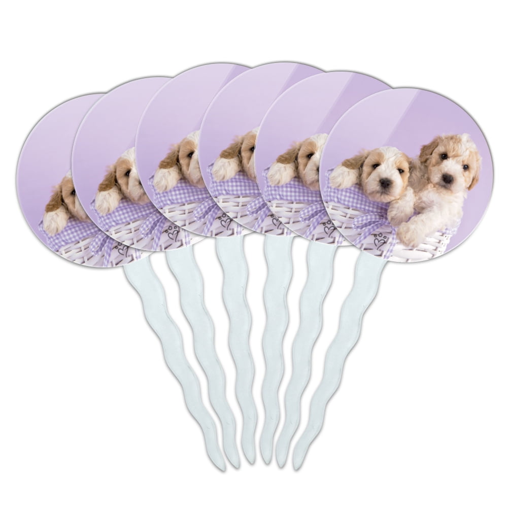 Spoodle Cockapoo Puppies Dogs Wicker Basket Cupcake Picks Toppers ...