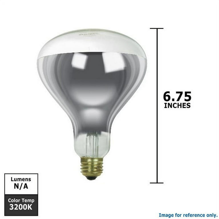 R40 Light Bulb Dimensions | Shelly Lighting
