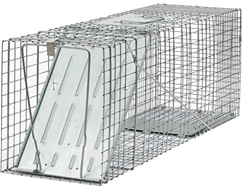 Live Catch Trap Assrt2pk - Walmart.com