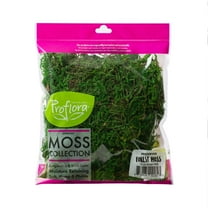 ProFlora Spanish Natural Moss - Quality Floral Arrangements & Crafts ...