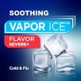 Equate Vapor Ice Non Drowsy Daytime Severe Cold and Flu Caplets, 24 ...