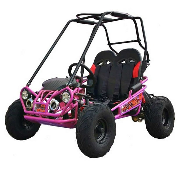 Pink TrailMaster Mini XRX Plus Upgraded Go Kart with Bigger Tires ...