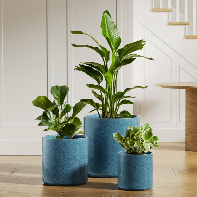 Inside Plant Pot Ceramic Indoor Plant Pots | Elegant Home Planters