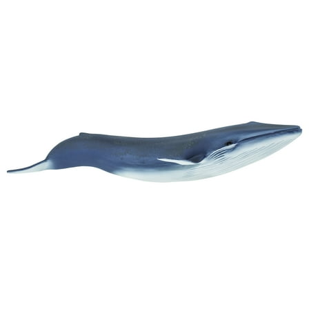 Safari Ltd. Flying Squirrel Figurine - Lifelike 6.5" Model Figure ...