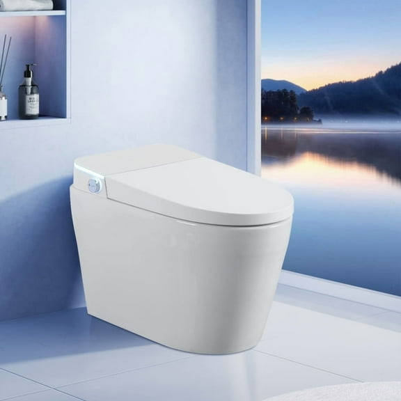 Tankless Smart Toilet With Bidet Built In, One-piece Bidet Toilet Seat ...