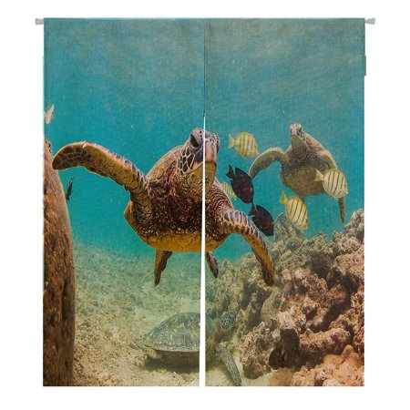 Hawaiian Green Sea Turtle Cruises In The Warm Waters Japanese Curtain ...