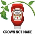 Heinz Simply Tomato Ketchup with No Artificial Sweeteners, 31 oz Bottle ...