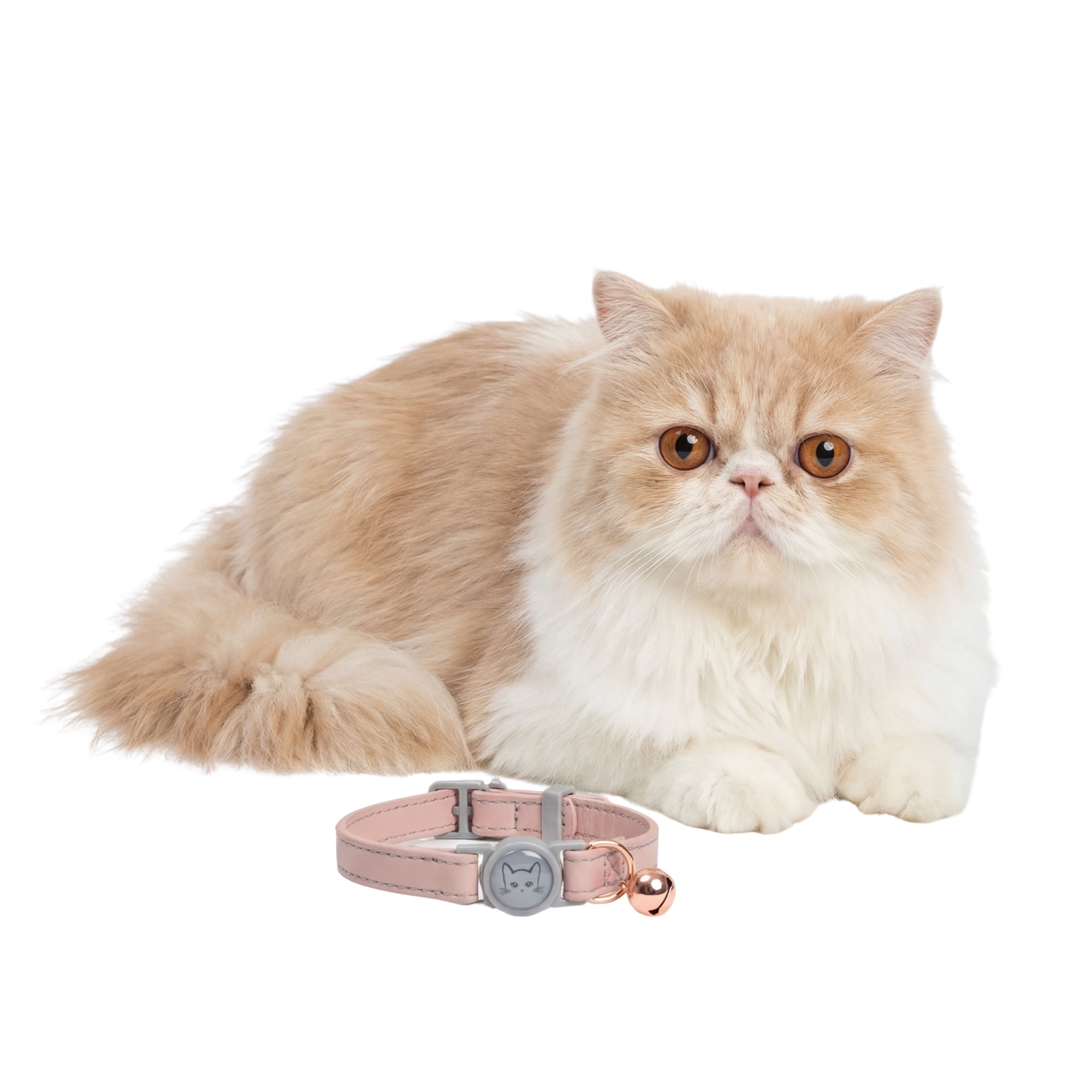 Click here for One Paw  Vegan Leather Safety Cat Collar  Breakawa... prices