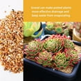 Triani 0.7lb Coarse Sand Stone-Succulents and Cactus Bonsai DIY ...
