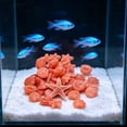 Artificial Starfish and Sea Shells Aquarium Decor with Luminous Stones ...