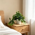 TINGXIN Artificial Potted Green Ivy Climbing Vine Plant for Desk ...