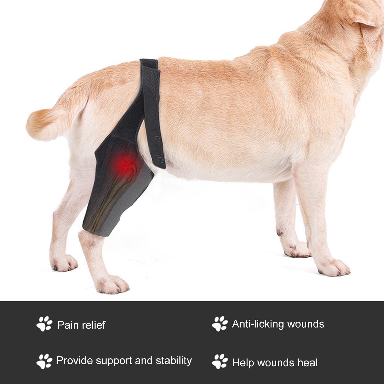 Walbest Dog Knee Rear Leg Brace with Fastening Strap, Wear Resistant ...