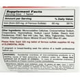Major FeroSul Iron Pills Supplement, Ferrous Sulfate 325mg, OTC, 1000 ...