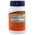 Now Foods - Woman's Probiotic 20 Billion, 50 Veggie Capsules - 3 Packs ...