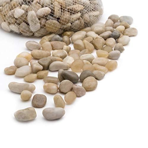 Royal Imports 5lb Decorative Ornamental River Pebbles Rocks for Fresh ...