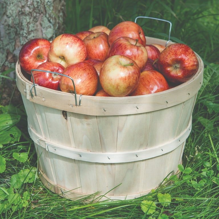 Apple Bushel Baskets