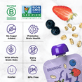 Brainiac Brain Squeezers Fruit & Oat with Omega-3s, Berry Blast, No ...