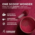 Pure Clean Performance Organic Beet Juice Powder, Healthy Vegetable ...