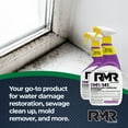 RMR Brands RMR-141 Disinfectant Spray Cleaner, Kills Mold, Bacteria ...