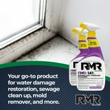 RMR Brands Disinfectant Spray Cleaner, EPA-Registered, Kill Mold ...
