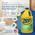 Zep Pro Strength Mold & Mildew Remover, 1 Gal Bathroom Cleaner (Case of ...