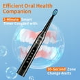 Seago Sonic Electric Toothbrush SG-507, Adult, 1USB charging cable, 8 ...