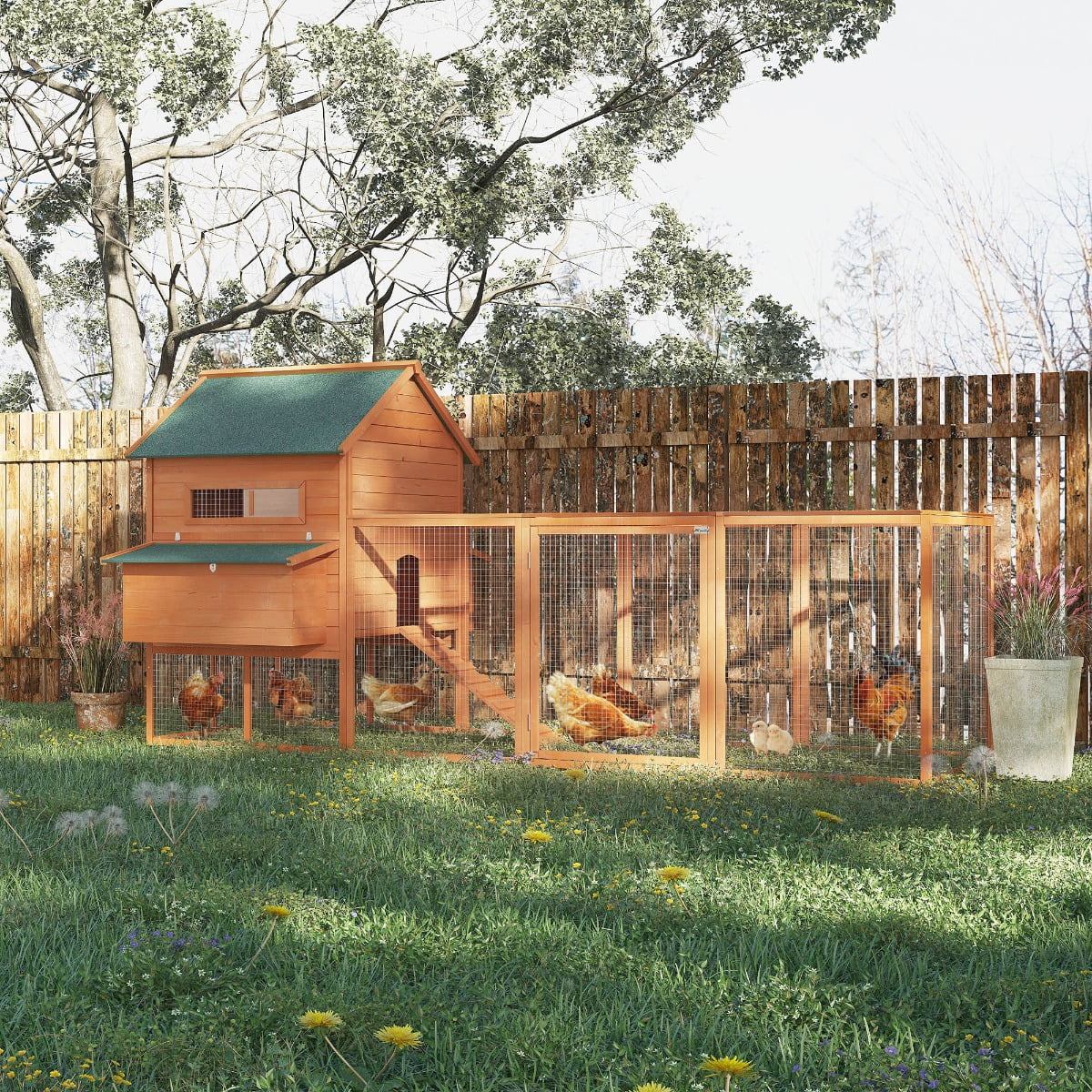 Luxury Chicken Coops