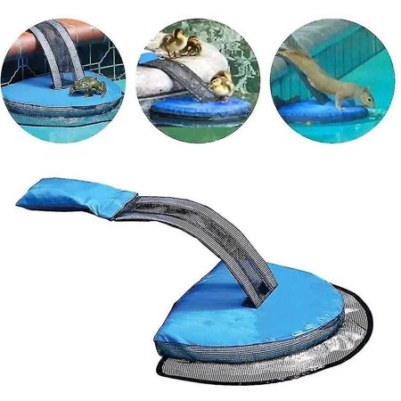 Pool Escape Ramp For Small Animal Swimming, Pool Critter Escape Ramp ...