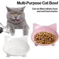 TrendMallOasis Cat-Shaped Pet Bowl Set (2-Pack), Shallow Whisker ...