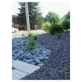 50 Lb. Premium Large Mexican Beach Pebbles 3-5 inches, Decor, Garden ...