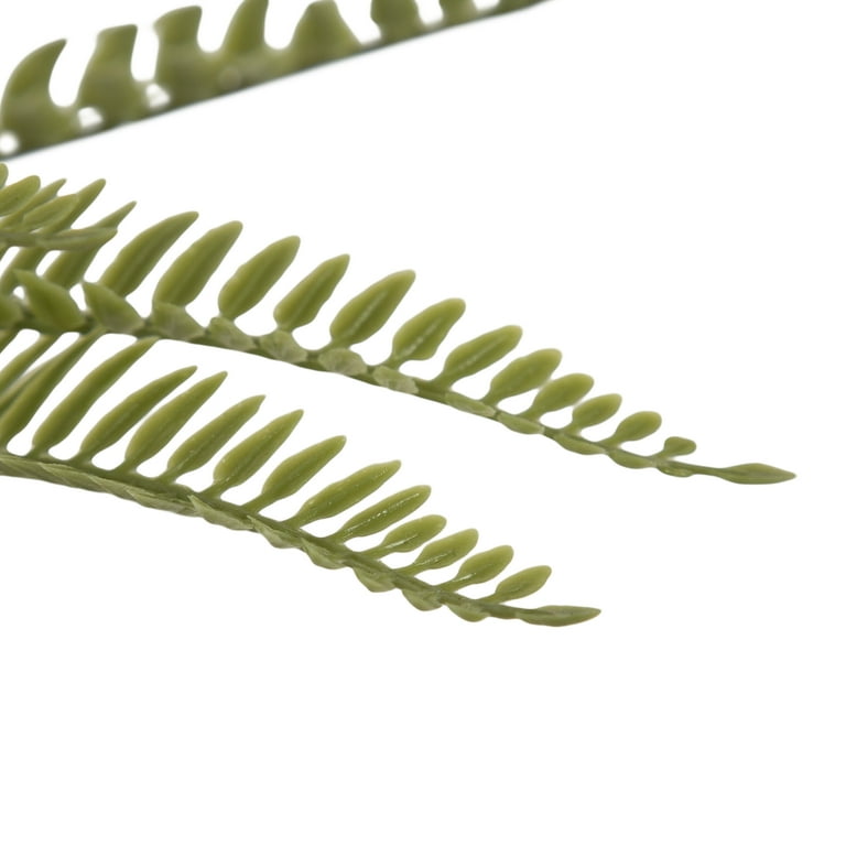 Potted Fern Clipart