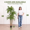 Artificial Dracaena Tree 6 Ft with Silk Leaves and Natural Trunk in ...