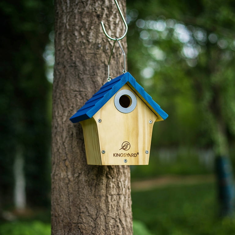 House Wren Nest Box