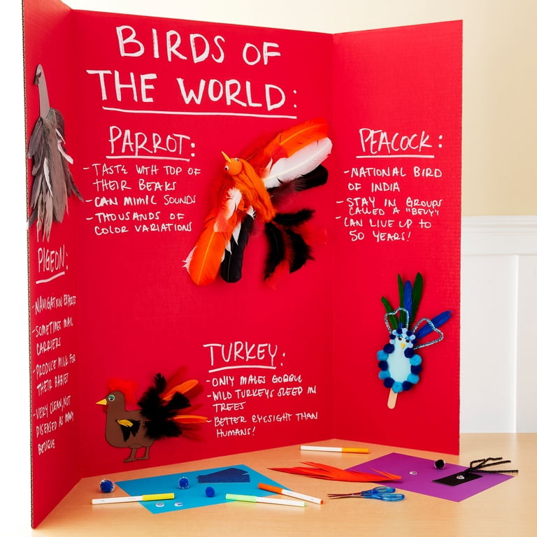 Red Tri Fold Poster Board