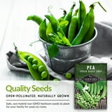 5 Packs Non-GMO Heirloom Sugar Daddy Snap Pea Vegetable Seeds, Full Sun ...