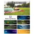 Sailstar Sunrise Alarm Clock, Touch Wake Up with Sunrise Simulation and ...