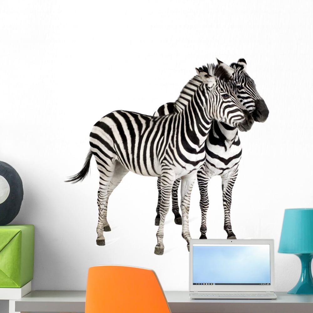 Zebra Wall Decal Sticker by Wallmonkeys Vinyl Peel and Stick Graphic ...