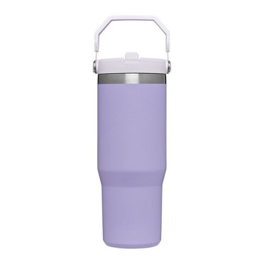 650ml Insulated Water Bottle With Straw & Handle Stainless Steel Bottle ...